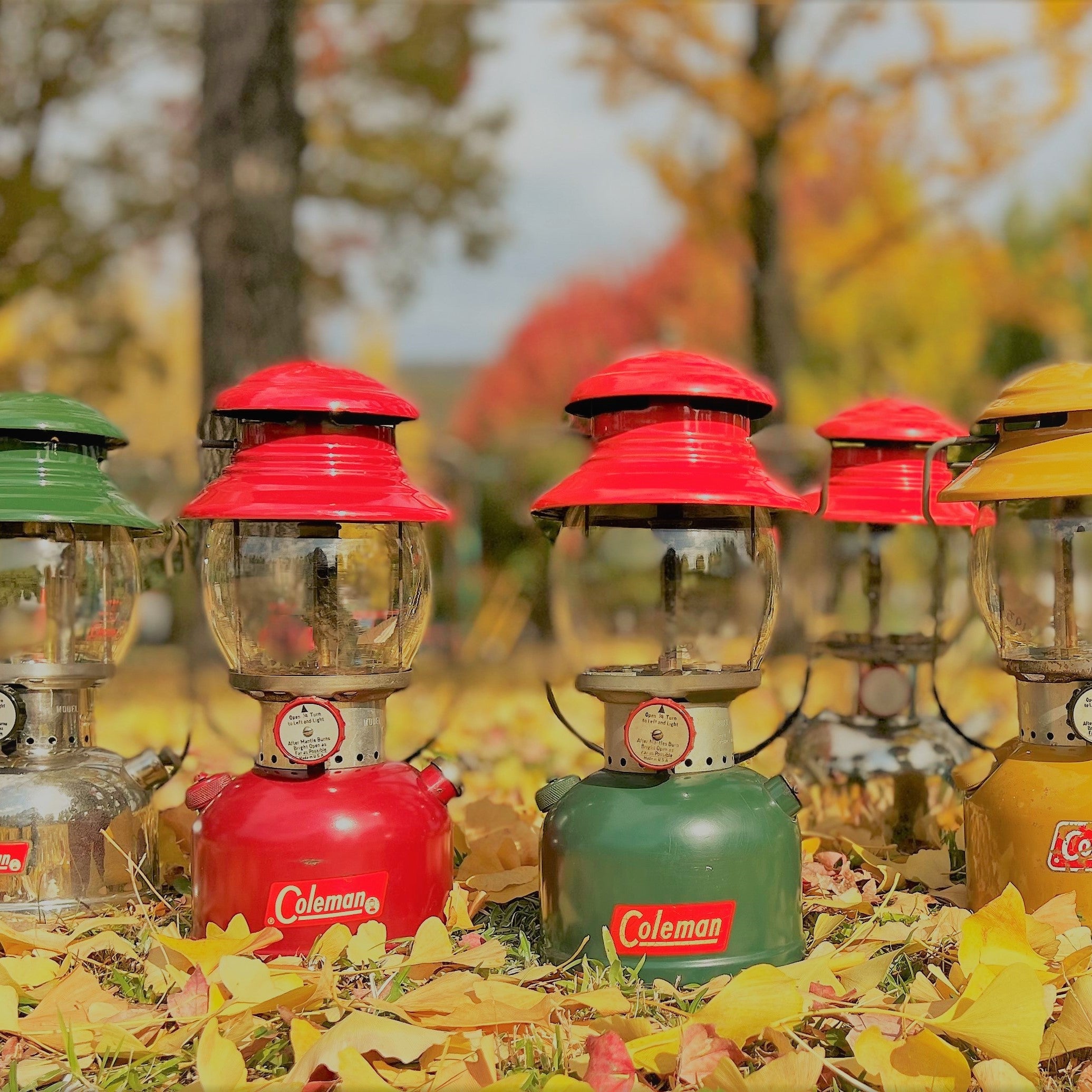 COLEMAN LANTERN – Mr.LANTERN
